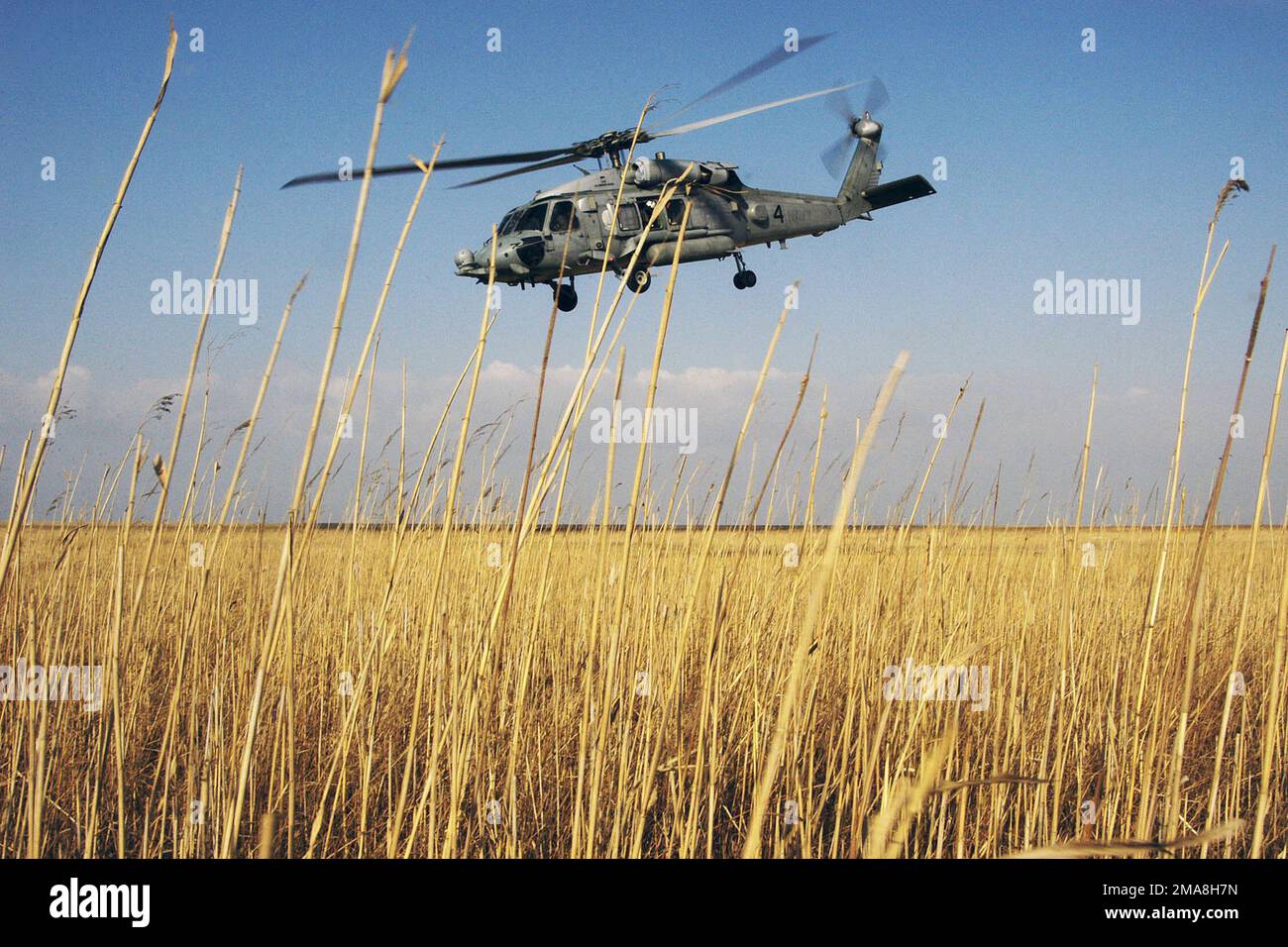 060328-N-6074Y-177. Subject Operation/Series: OPERATION FOAL EAGLE Base ...