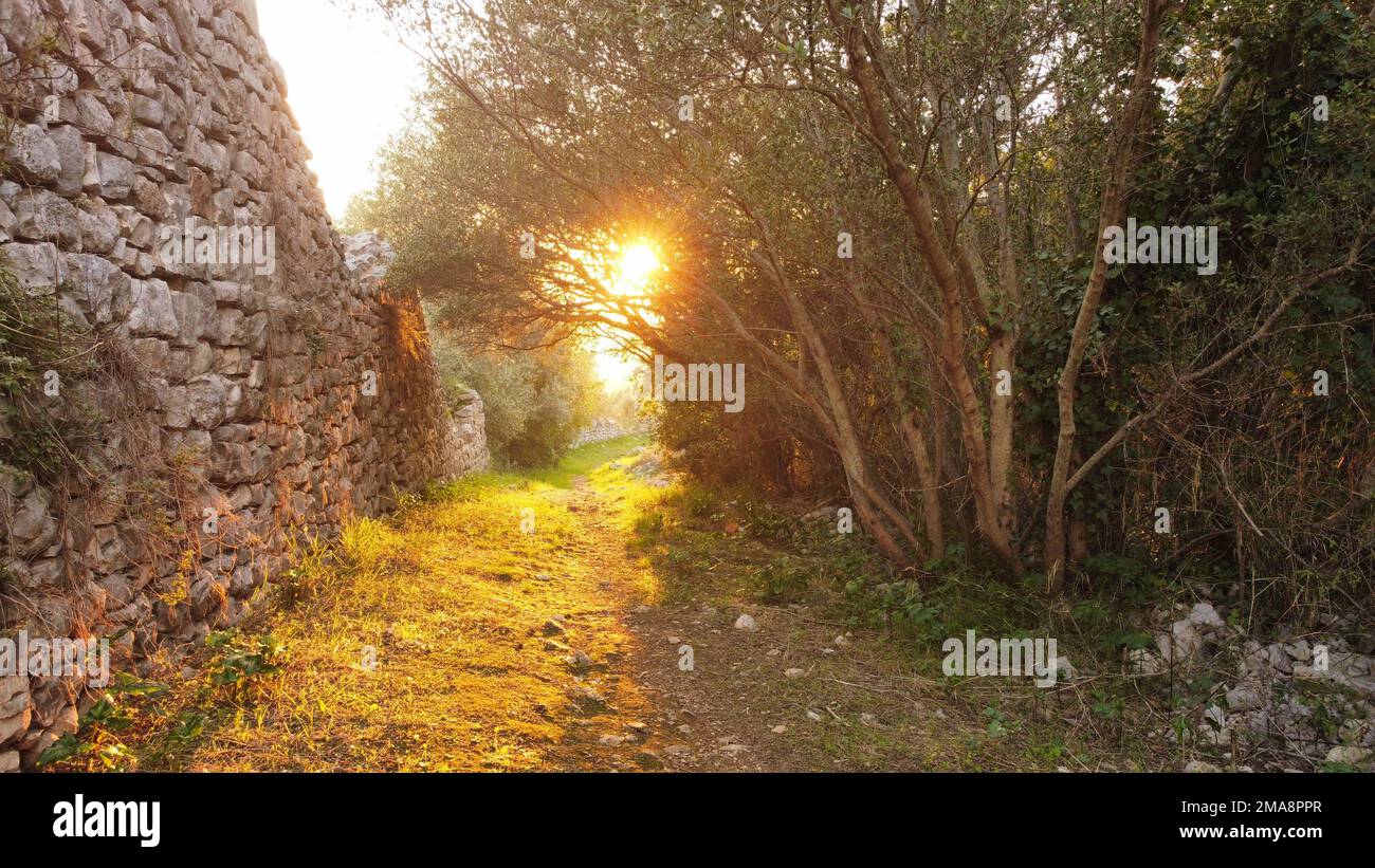 A scenic empty alley near an old stone wall and trees Stock Photo - Alamy