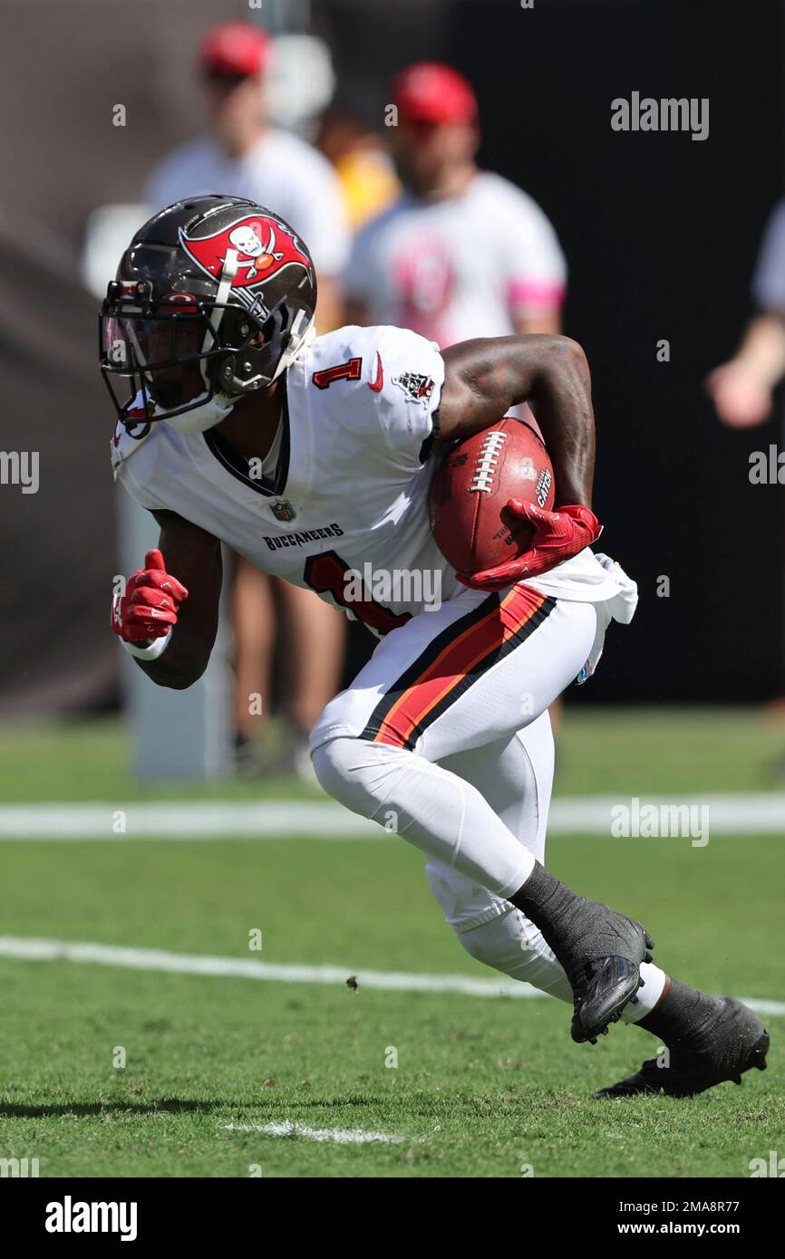 Tampa Bay Buccaneers wide receiver Jaelon Darden (1) against the ...