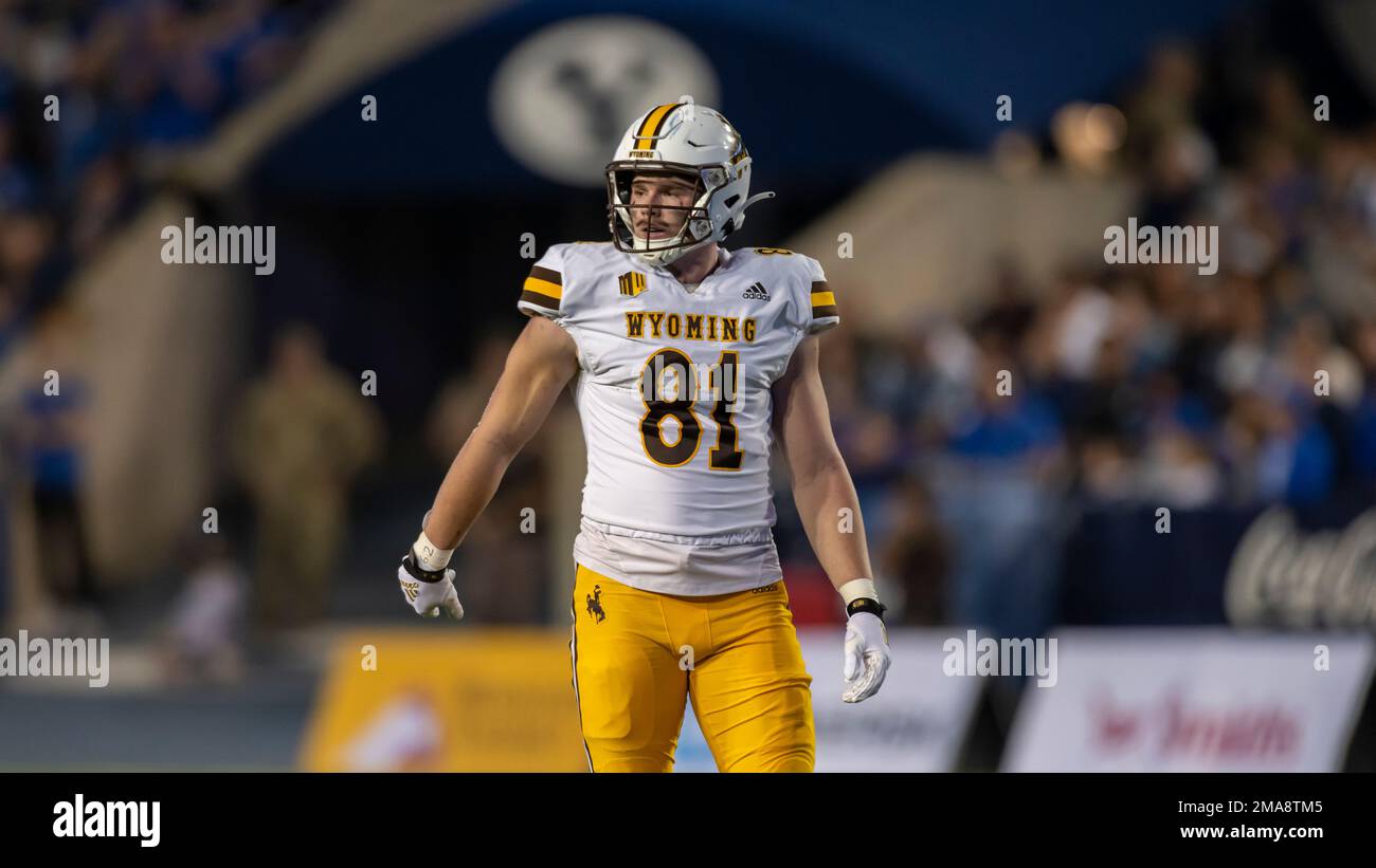 Wyoming Cowboys tight end Treyton Welch (81) motions to the quarterback ...