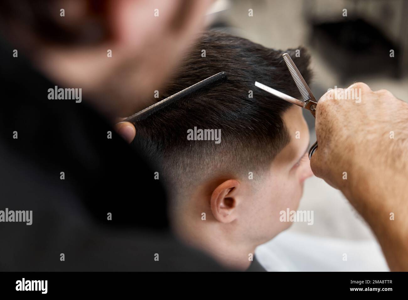 Professional hairdresser does haircut for caucasian bearded man Stock ...