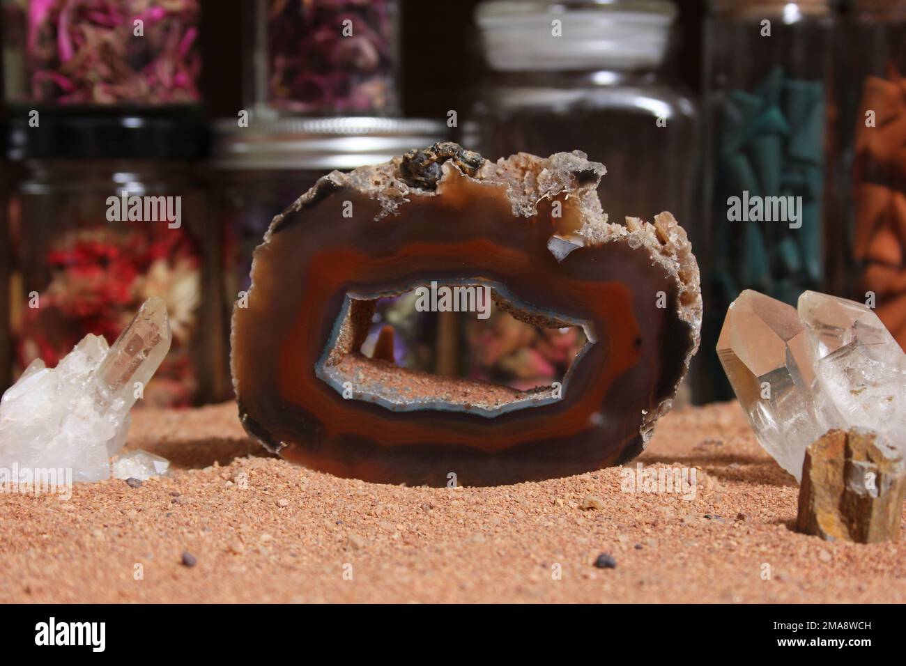 Agatized Coral With Quarts Crystals on Australian Red Sand. Meditation ...