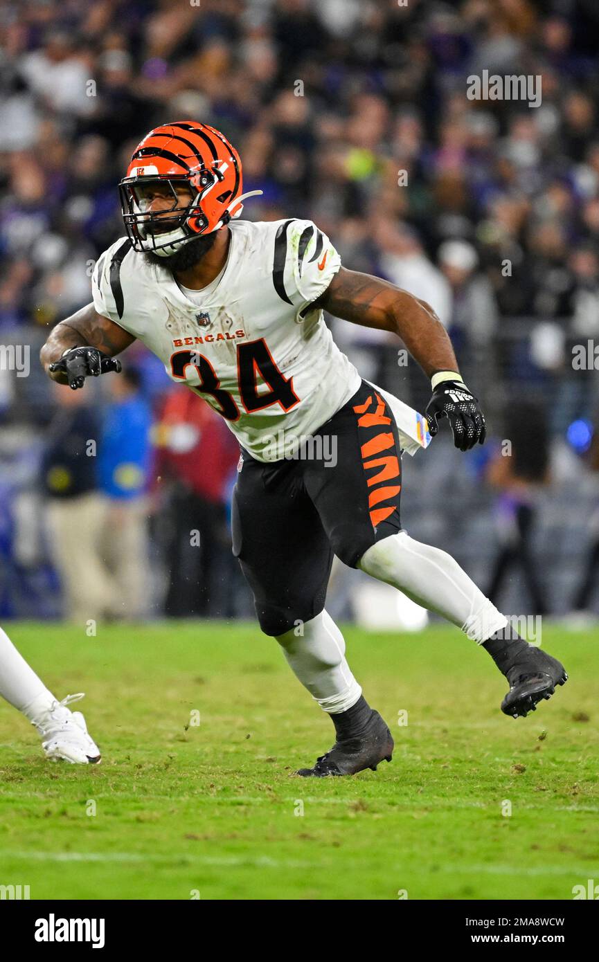 Cincinnati Bengals running back Samaje Perine (34) in action during the ...