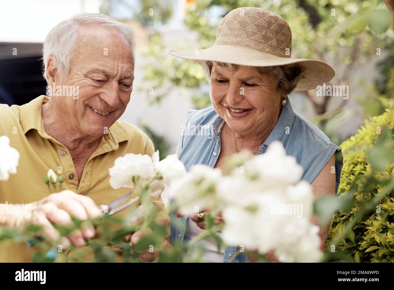 My lady in red, no matter her colours. an elderly couple tending to ...