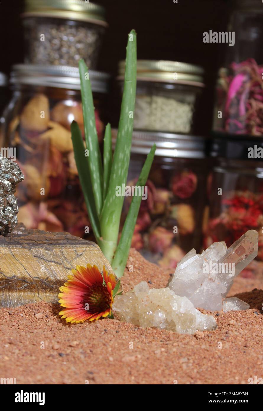 Flower With Pyrite Rocks and Crystals on Australian Red Sand Stock ...