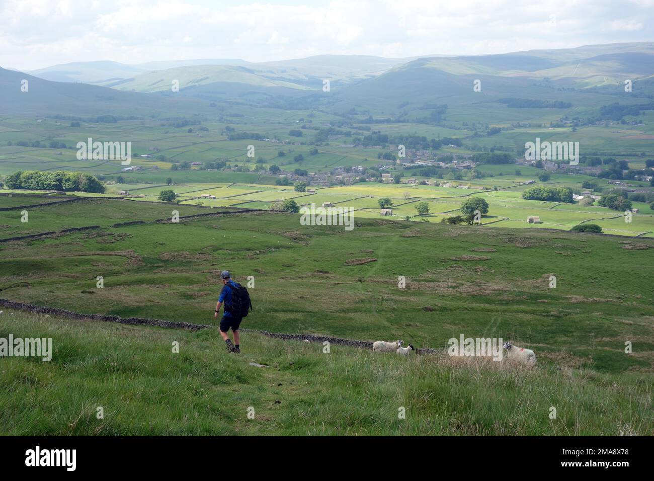 Lone Man Walking (Hiker) on Path near the Pennine Way in Hawes ...