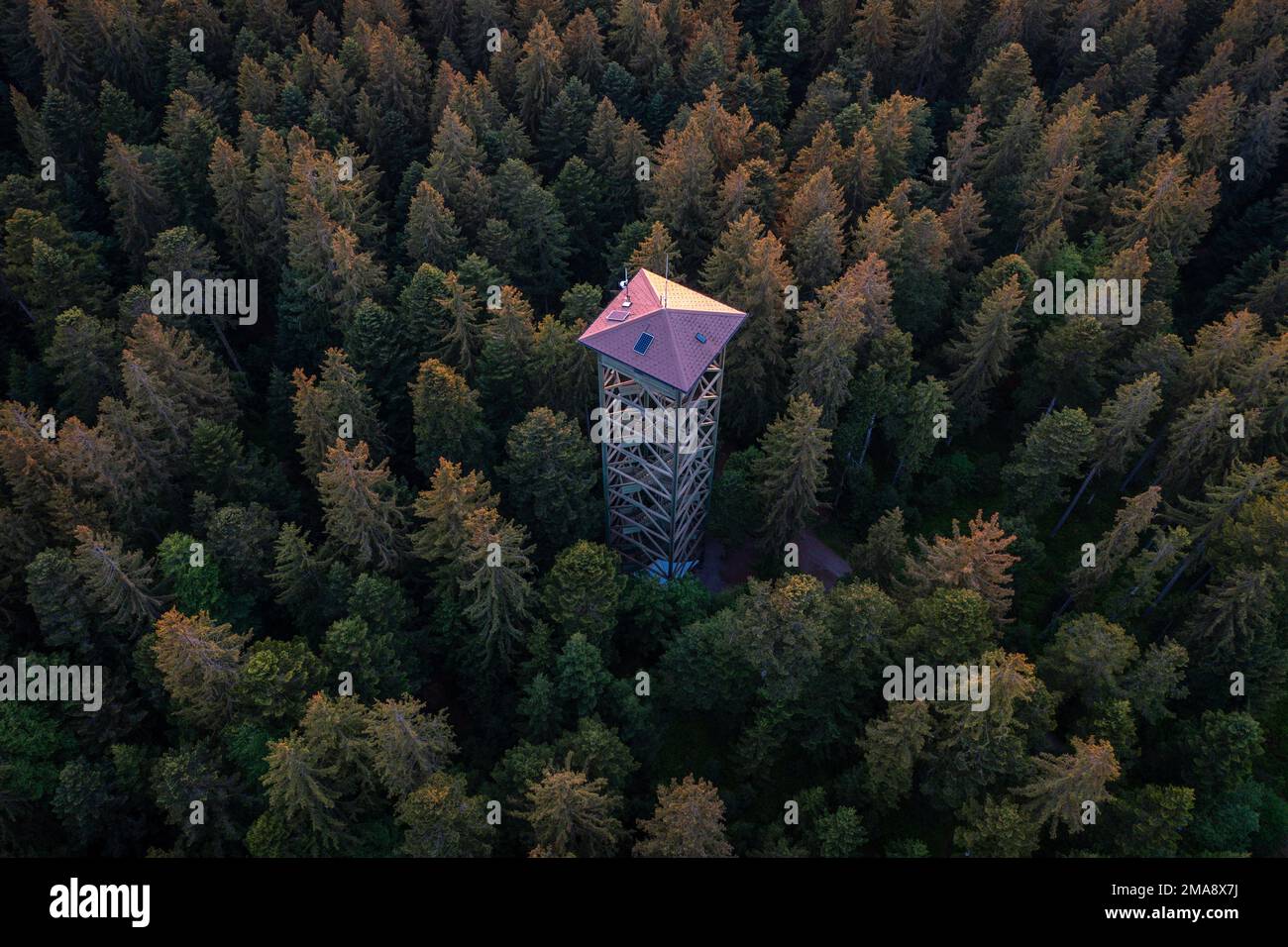 A lookout tower in the middle of the forest, from above Stock Photo - Alamy