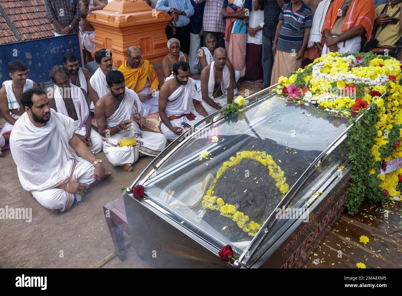 Hindu priests perform last rites as they prepare to cremate a crocodile ...