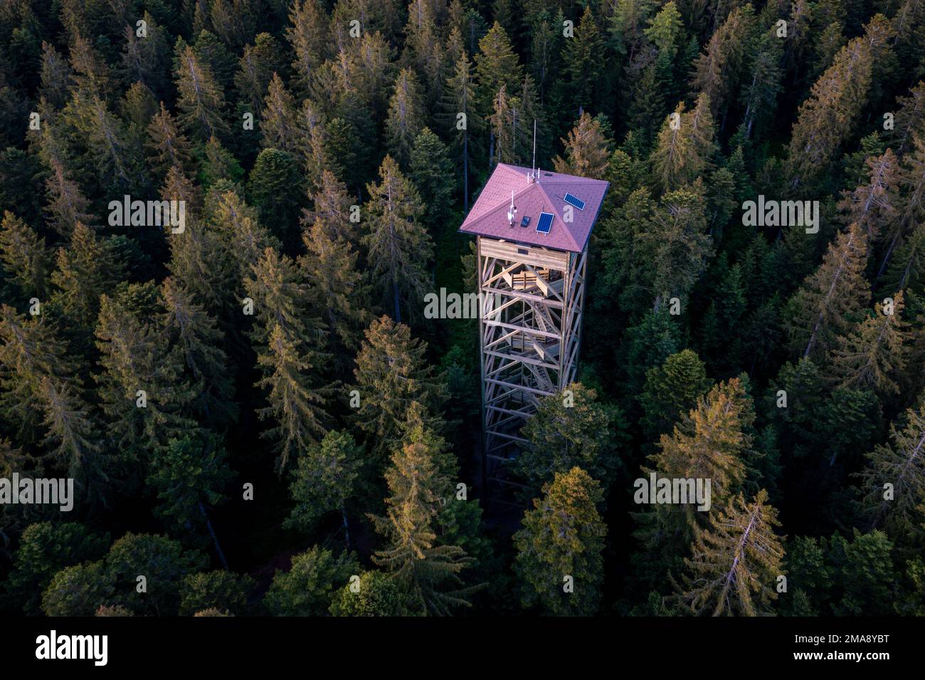 A lookout tower in the middle of the forest Stock Photo - Alamy