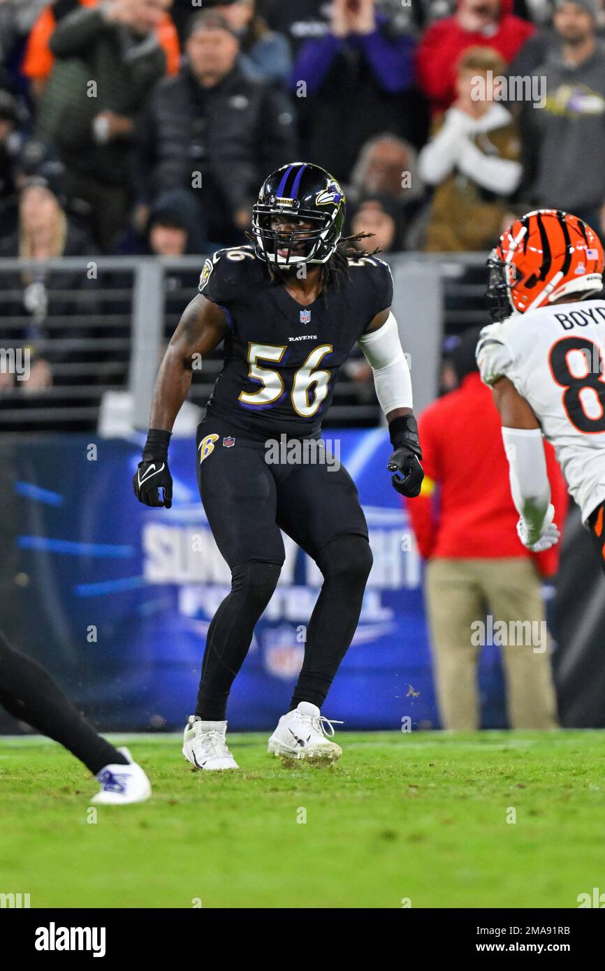 Baltimore Ravens linebacker Josh Bynes (56) in action during the second ...