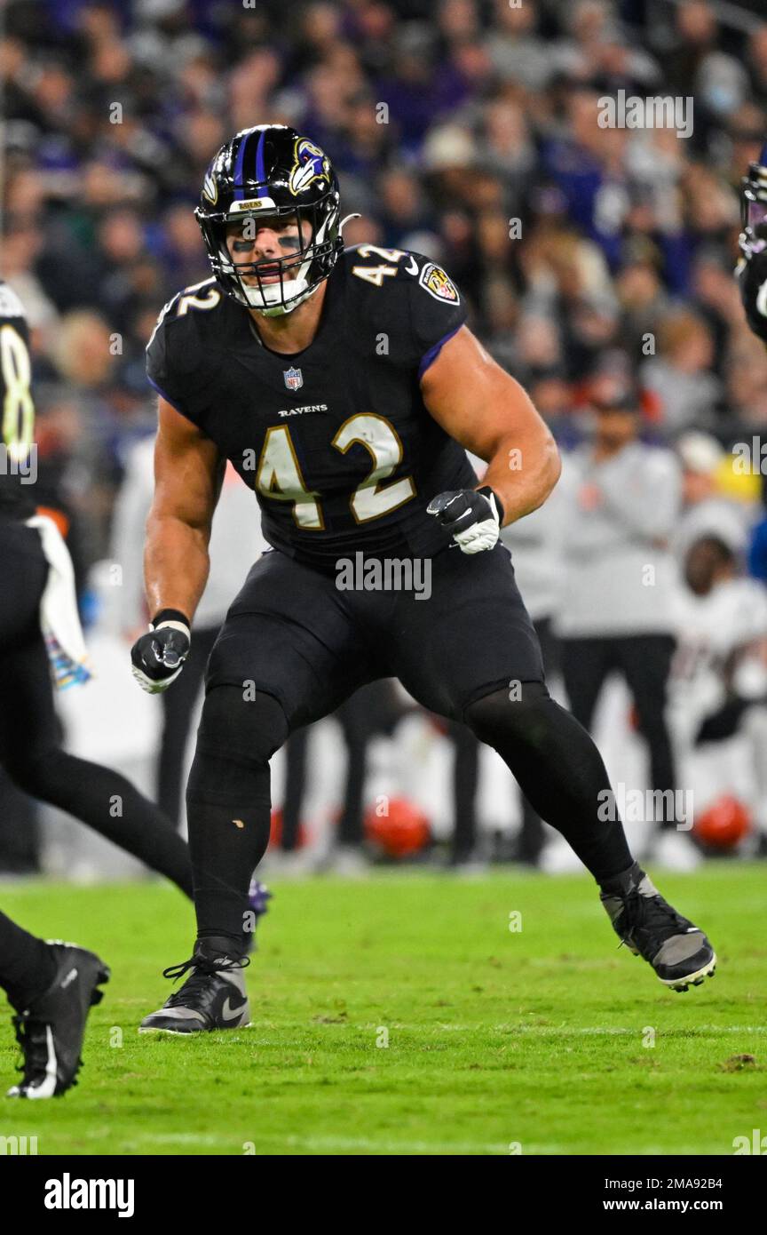 Baltimore Ravens fullback Patrick Ricard (42) in action during the ...