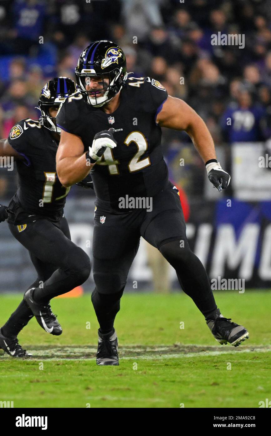 Baltimore Ravens fullback Patrick Ricard (42) in action during the ...
