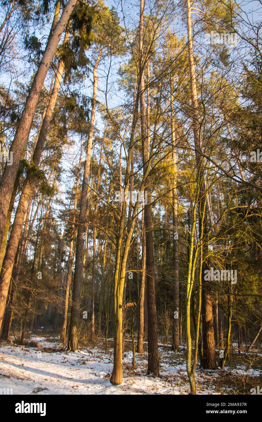 Vast outdoor setting hi-res stock photography and images - Alamy