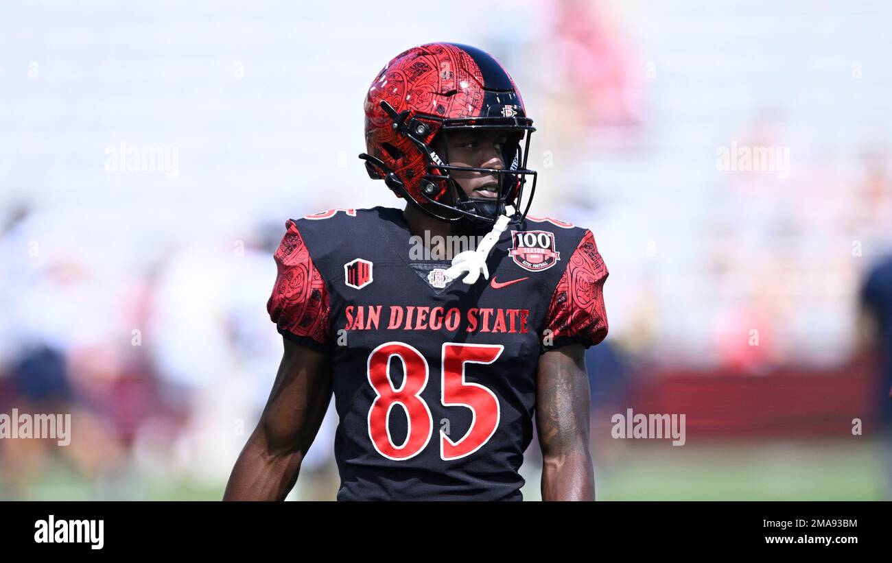 San Diego State wide receiver Josh Nicholson plays during an NCAA ...