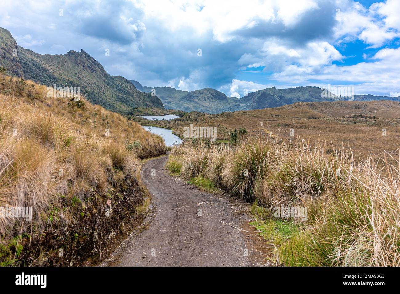 Cayambe coca ecological reserve hi-res stock photography and images - Alamy