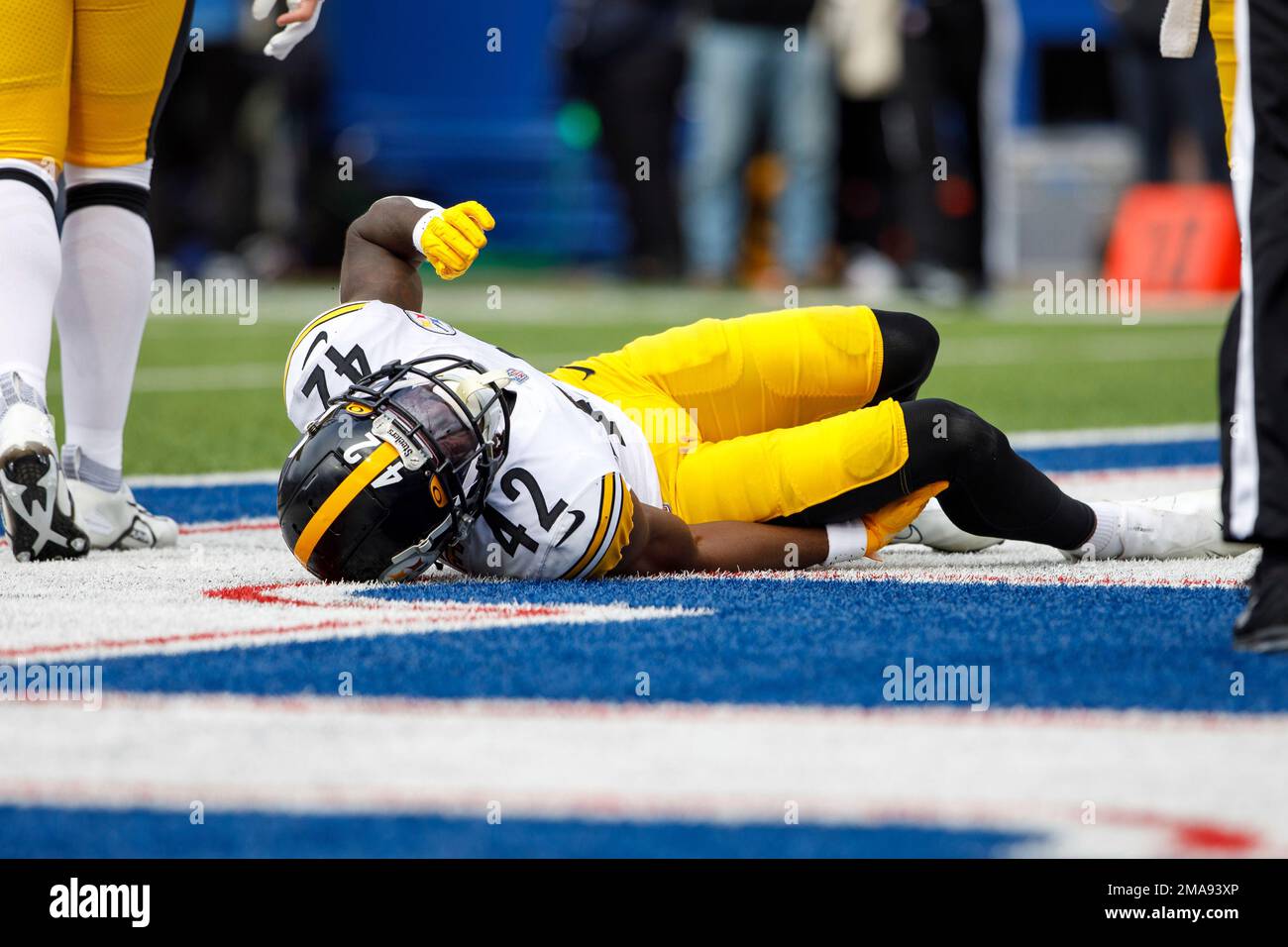 Pittsburgh Steelers cornerback James Pierre (42) holds his lower leg ...