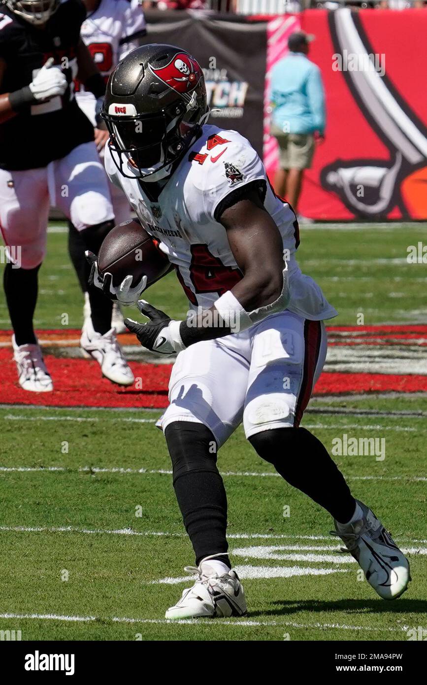 Tampa Bay Buccaneers wide receiver Chris Godwin (14) against the ...