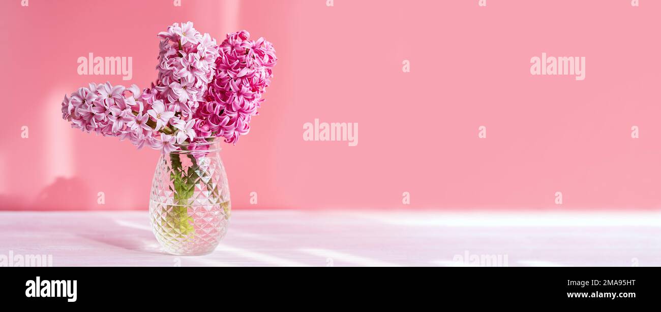 Flowers composition with Pink hyacinth on pink wall background. Bouquet ...
