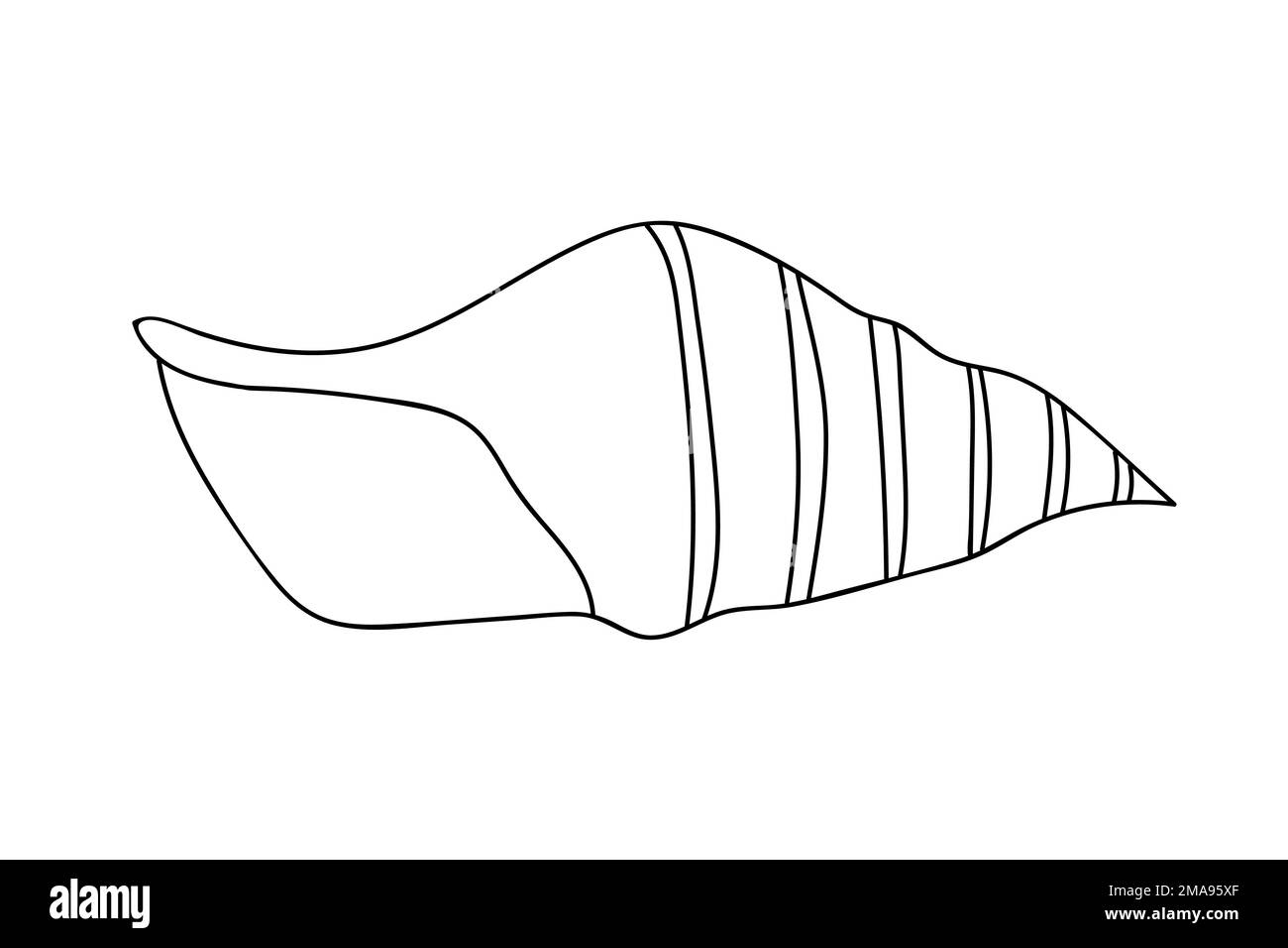 Seashell vector hand drawn Stock Vector Image & Art - Alamy