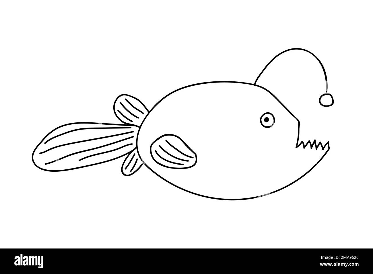 Anglerfish vector doodle Stock Vector Image & Art - Alamy