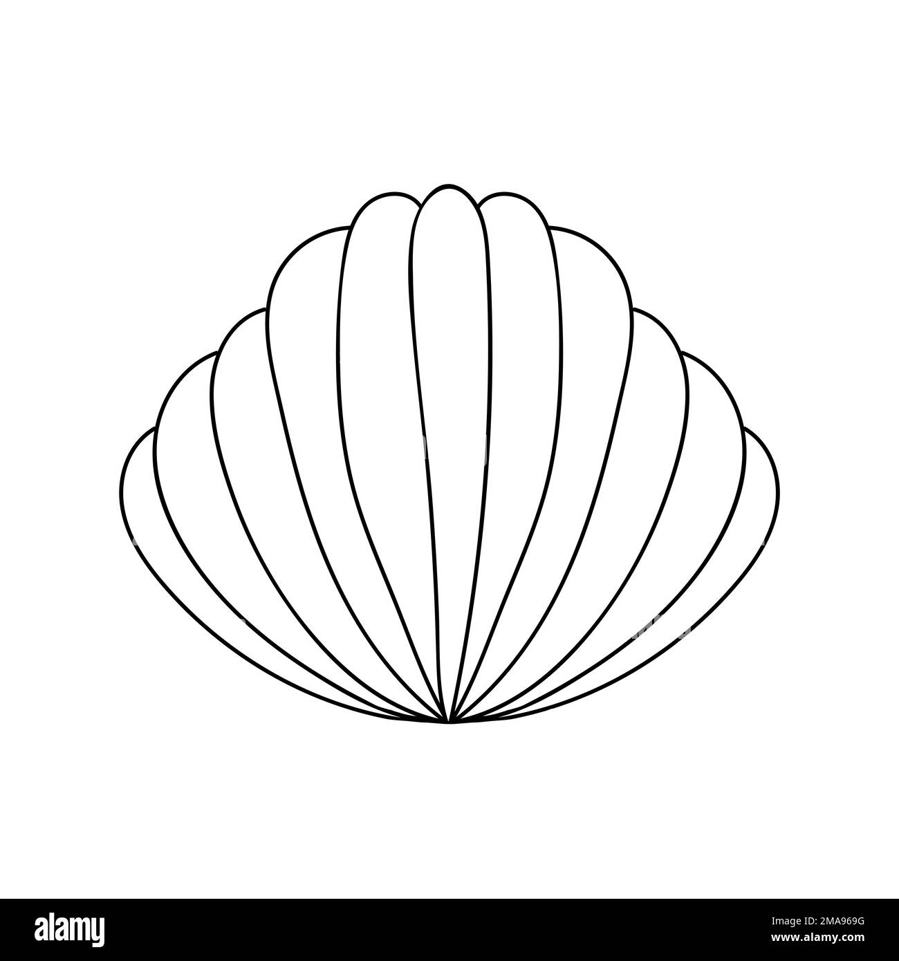 Seashell vector hand drawn Stock Vector Image & Art - Alamy