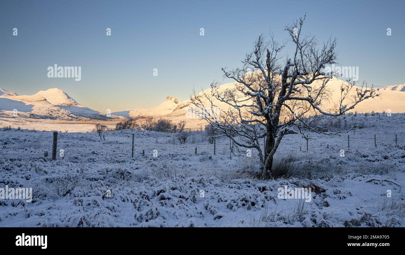Monday blues hi-res stock photography and images - Alamy