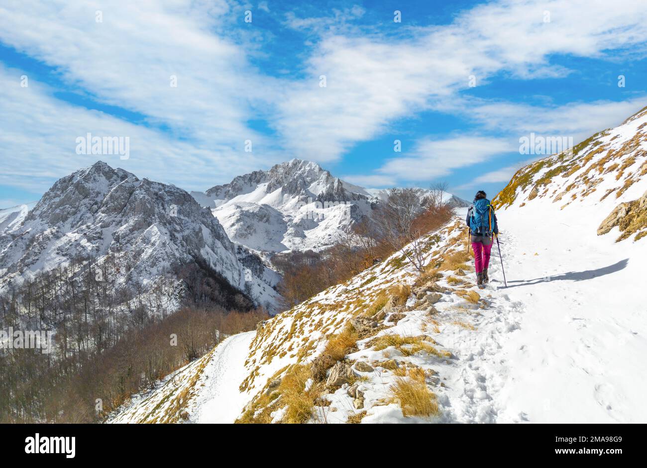 Monte porcini hi-res stock photography and images - Alamy