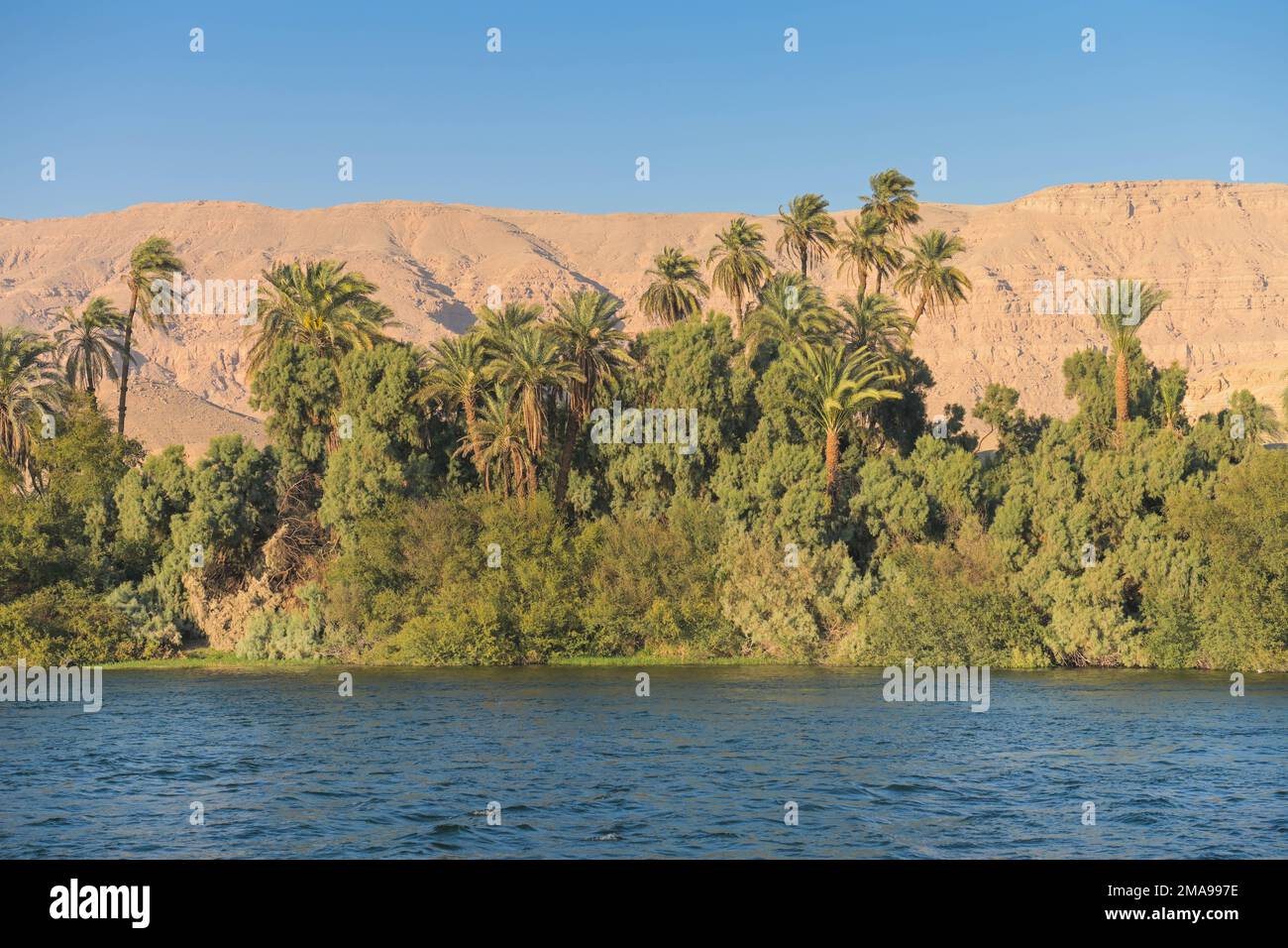 Palmen landschaft hi-res stock photography and images - Alamy