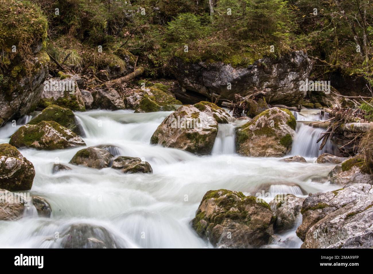 Water still and rising Stock Photo - Alamy