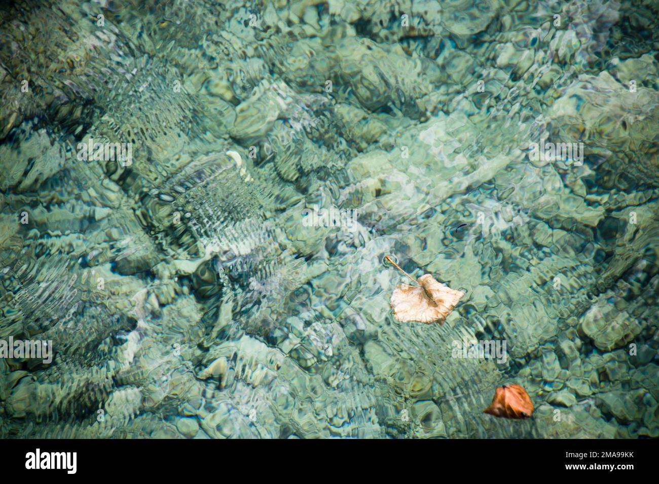 Water still and rising Stock Photo - Alamy