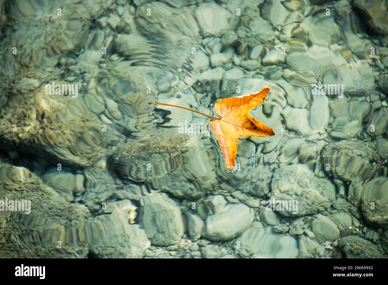 Water still and rising Stock Photo - Alamy