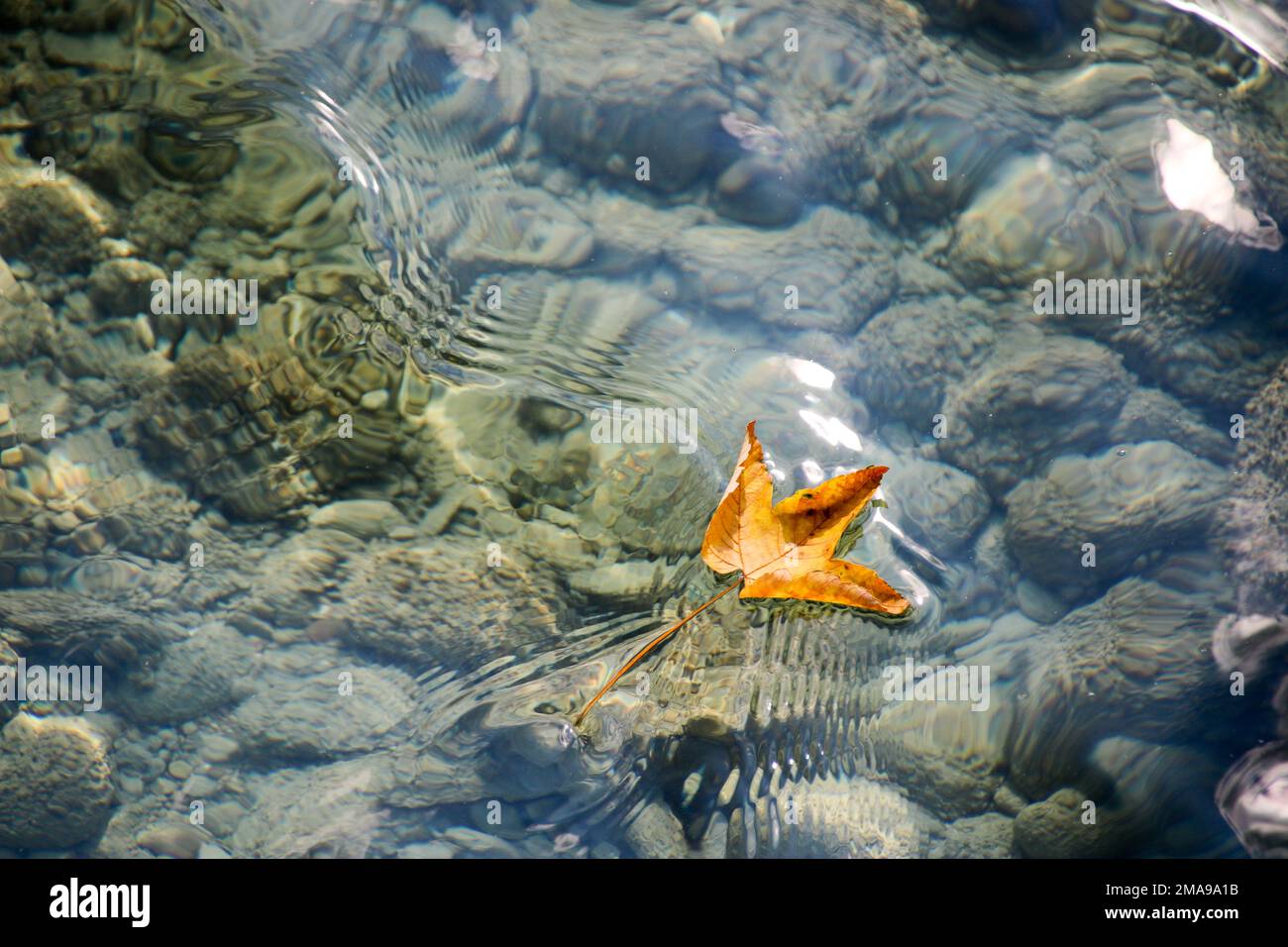 Water still and rising Stock Photo - Alamy