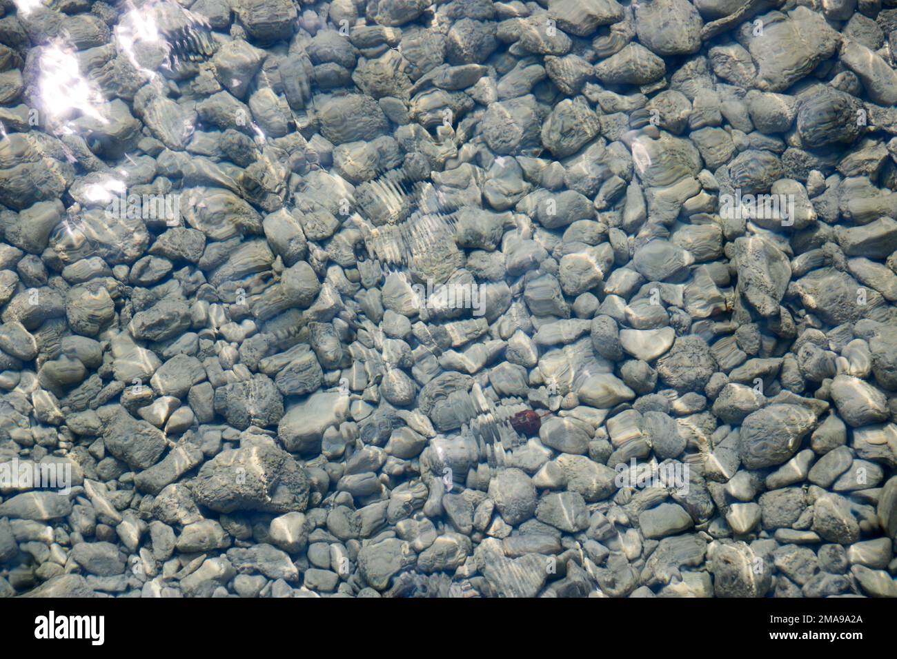 Water still and rising Stock Photo - Alamy