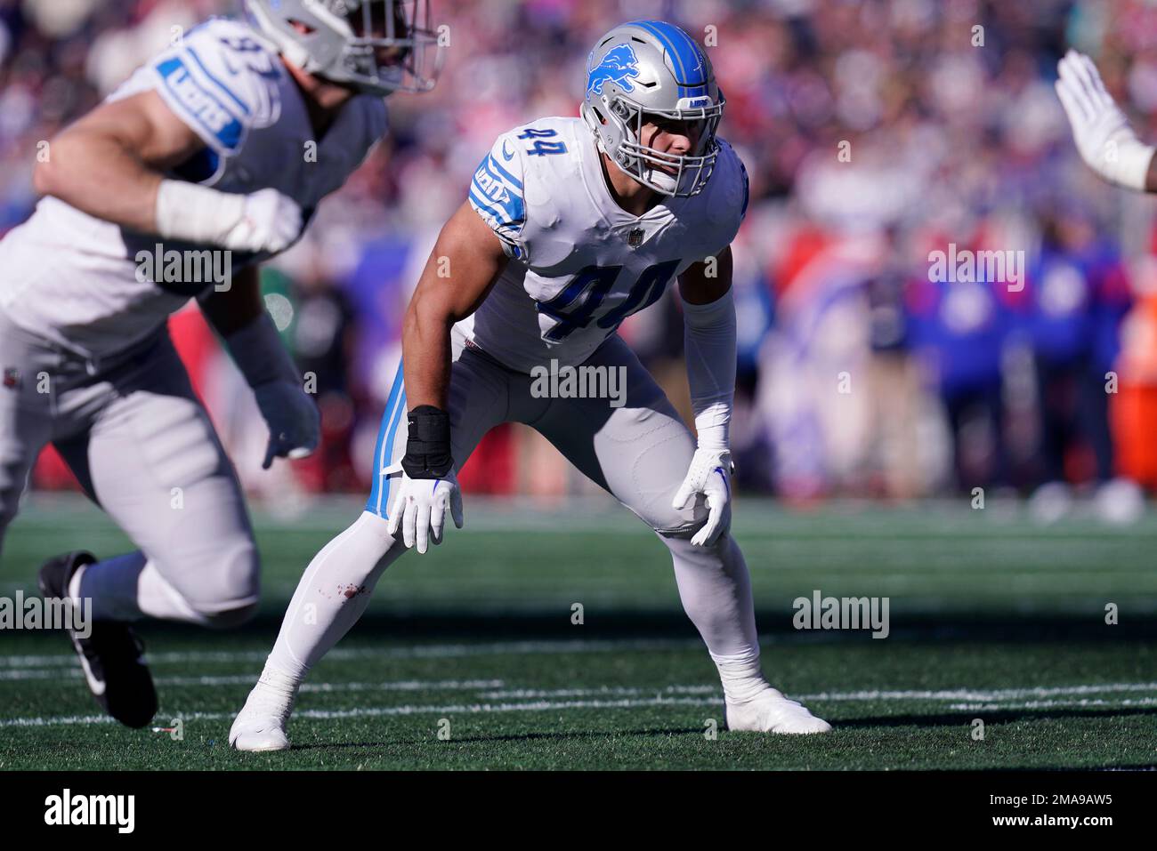 Detroit Lions linebacker Malcolm Rodriguez (44) during an NFL football ...