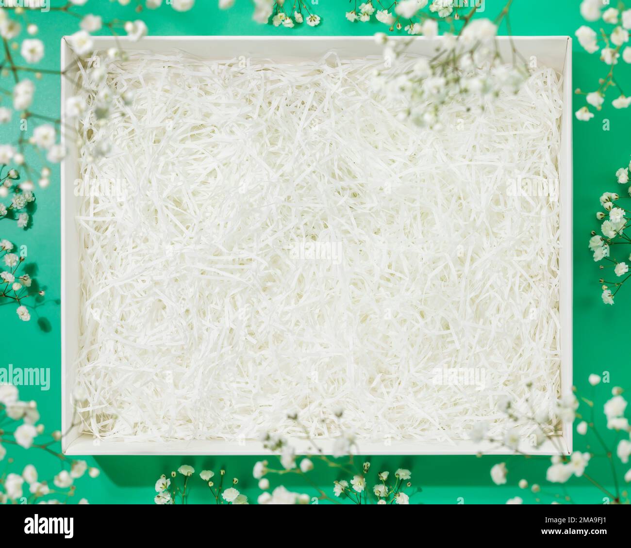 Opened gift box with shredded paper with white flowers. White paper box ...