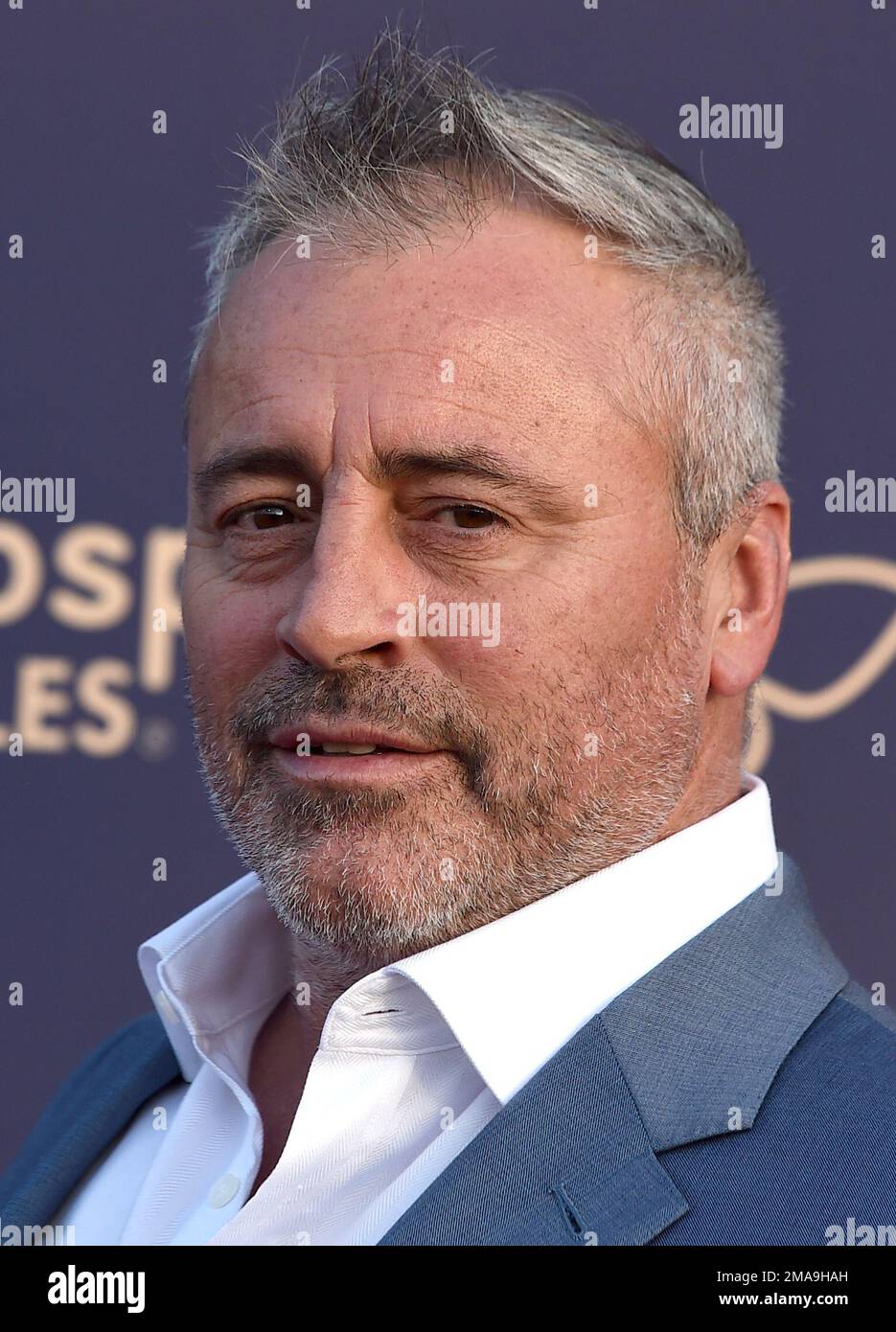 Matt LeBlanc arrives at the 2022 Children's Hospital Los Angeles Gala ...