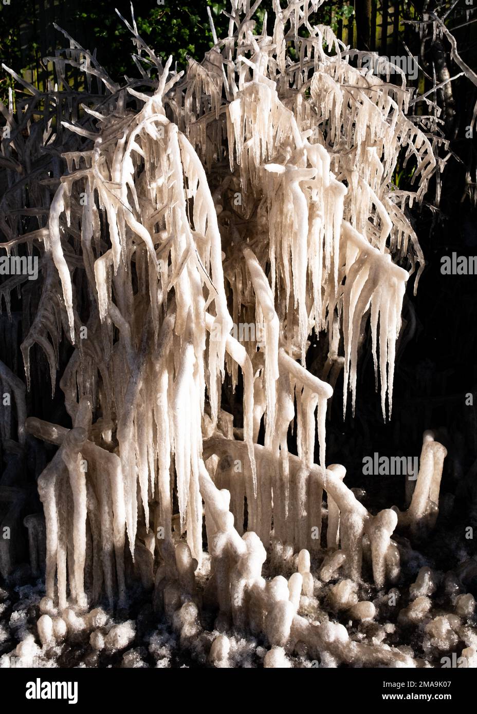 Ice sculpture and icicles where passing vehicles splash on a freezing ...