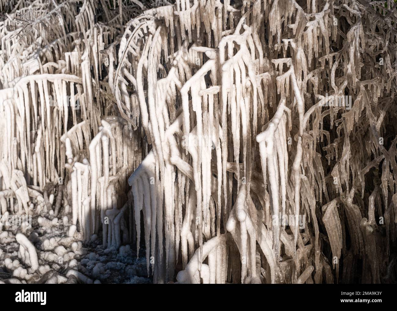 Ice sculpture and icicles where passing vehicles splash on a freezing ...
