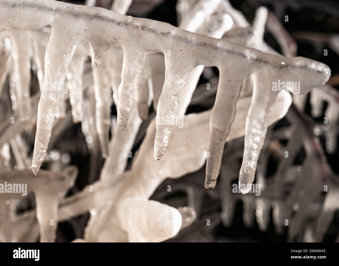 Ice sculpture and icicles where passing vehicles splash on a freezing ...