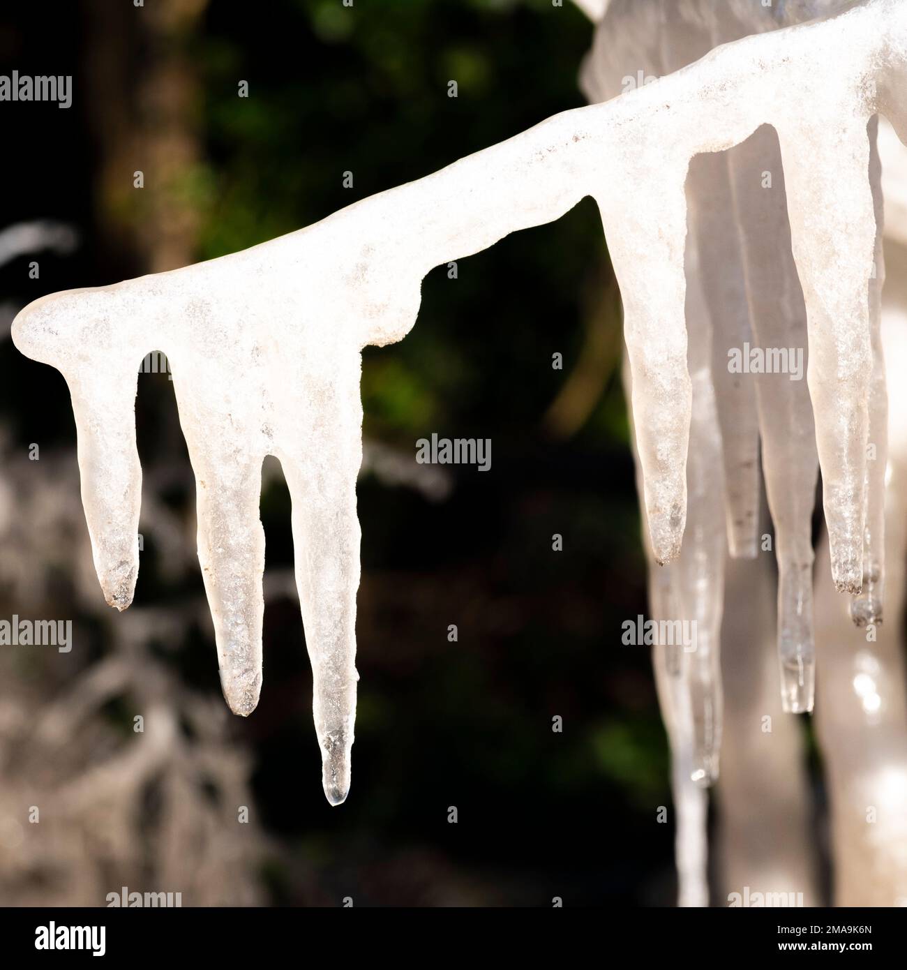 Ice sculpture and icicles where passing vehicles splash on a freezing ...