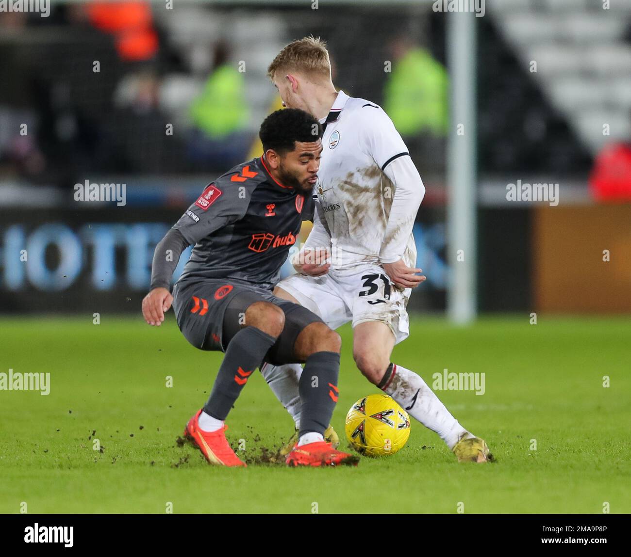 Jay cooper hi-res stock photography and images - Alamy