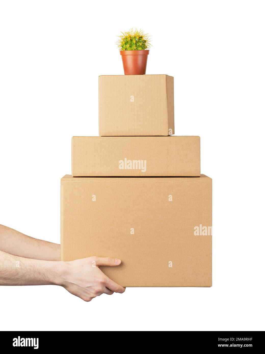 cardboard box in male hands isolated on white background Stock Photo ...