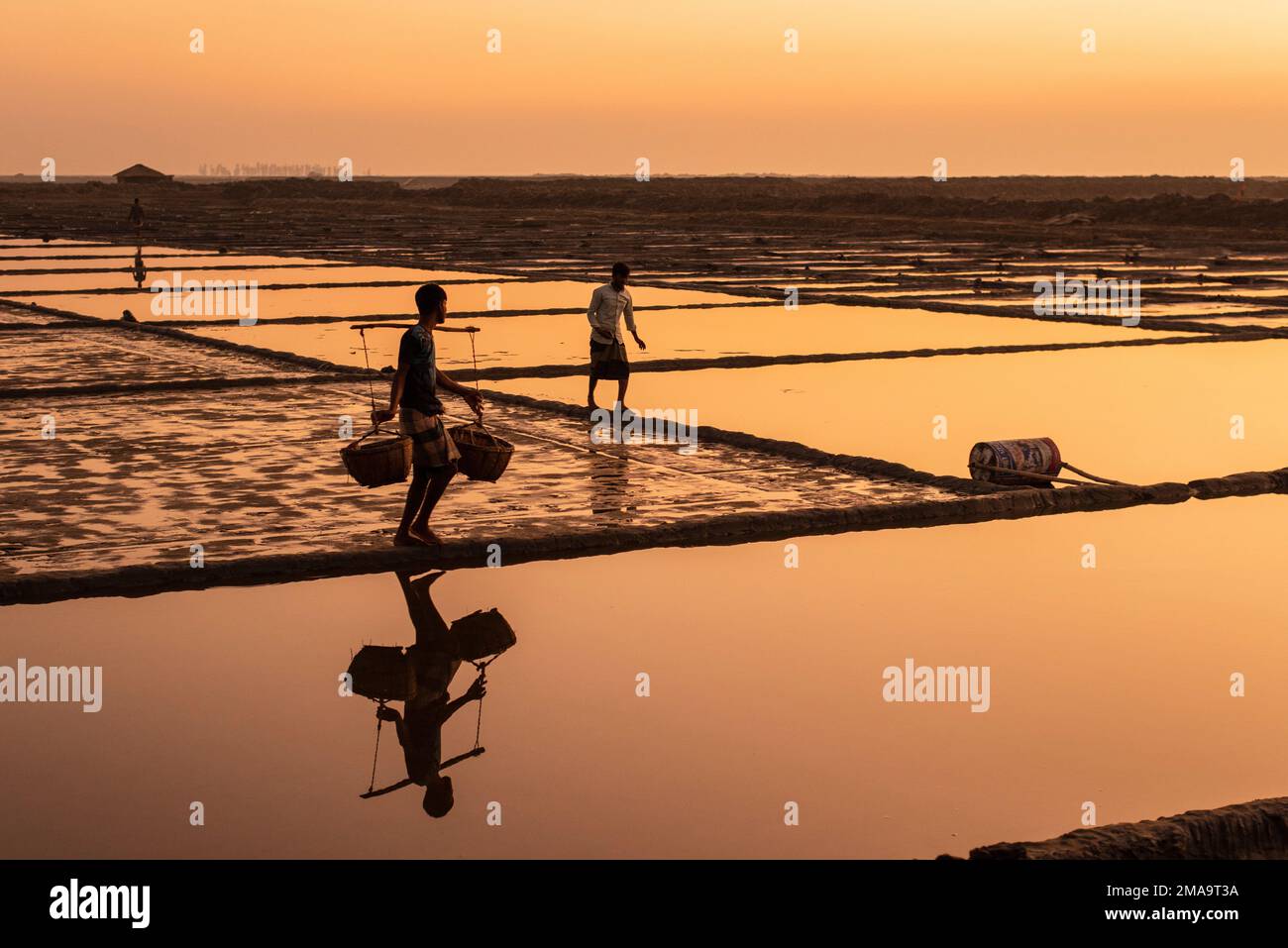 Chittagong, Chattogram, Bangladesh. 12th Jan, 2023. A farmer unloads ...