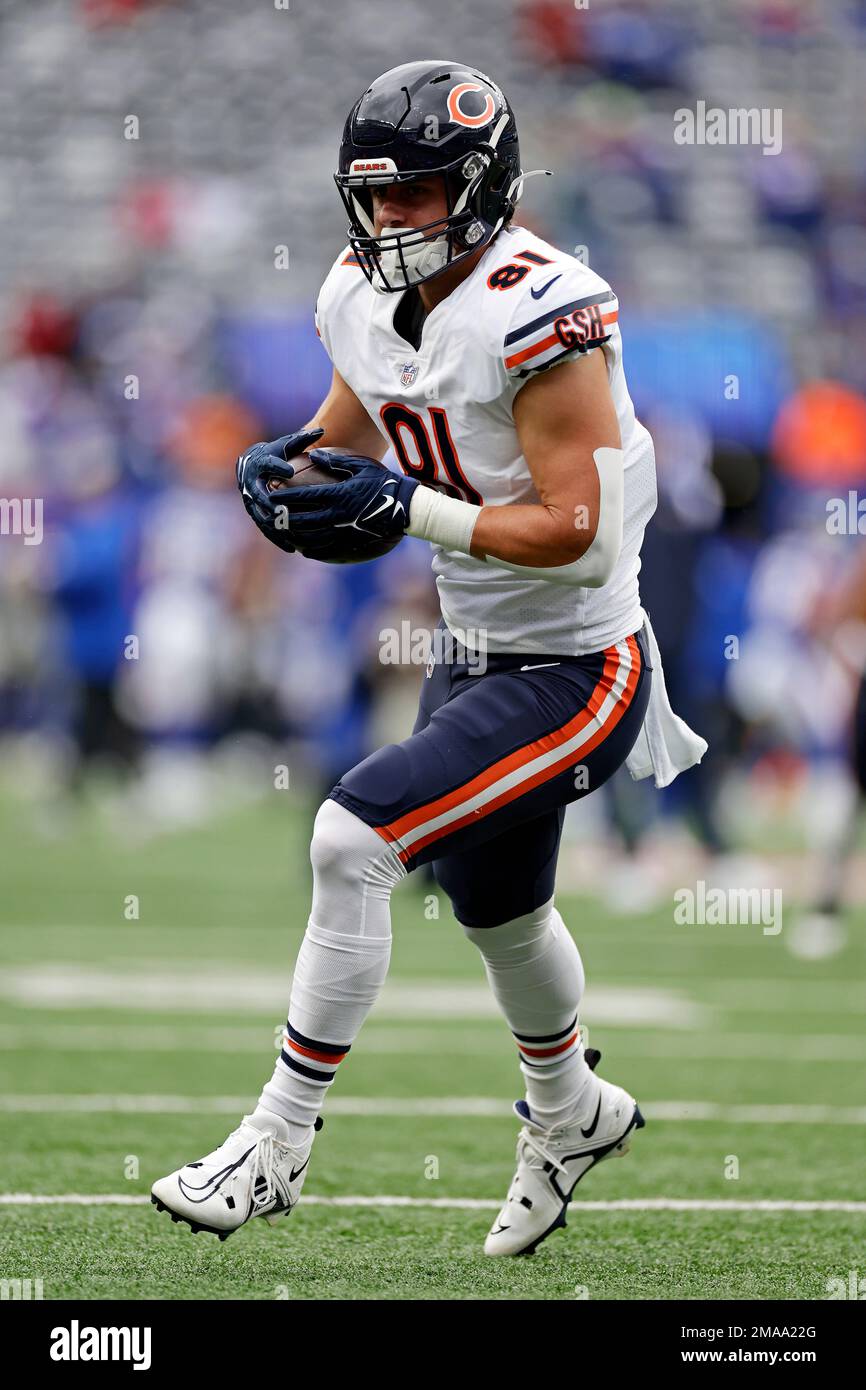 Chicago Bears tight end Jake Tonges (81) warms up before taking on the ...
