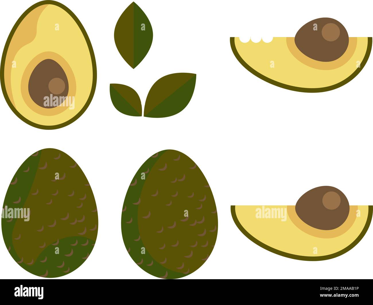Avocado icon set drawing in flat style clipart with organic colors ...