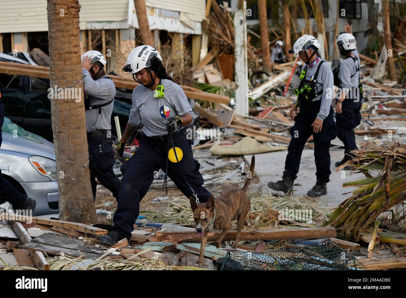 Human remains canine detection handler Nyssa Meyerdirk, with Texas Task ...