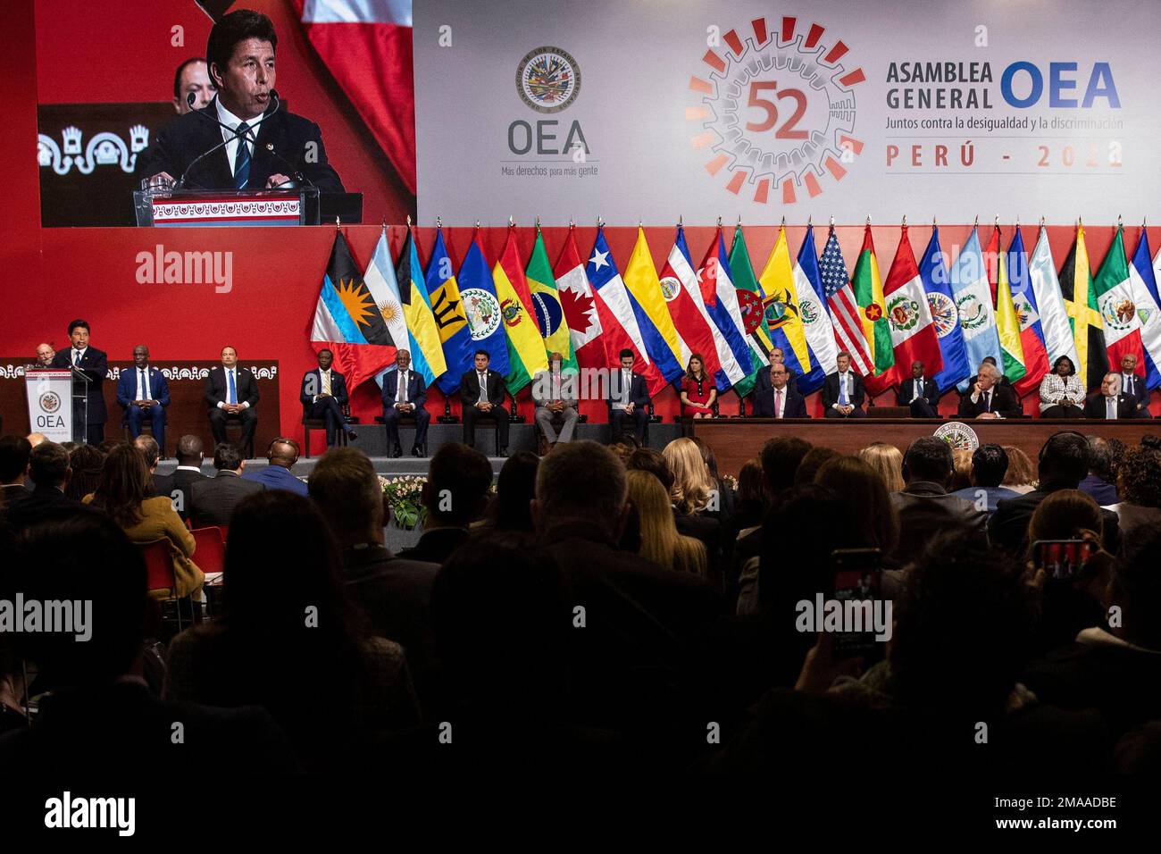 Peruvian President Pedro Castillo addresses the Organization of ...