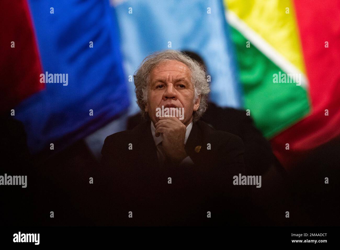 Secretary General of the Organization of American States Luis Almagro ...