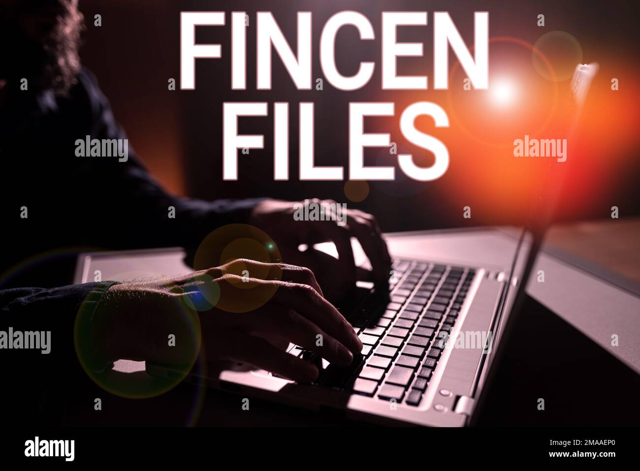 Text showing inspiration Fincen Files. Business showcase Transactions ...