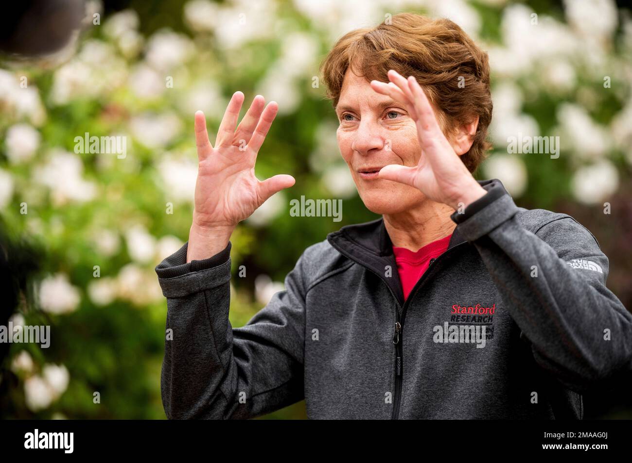 Stanford Professor Carolyn Bertozzi speaks during an interview after ...